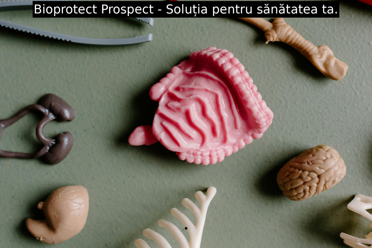 Acutil Prospect - Tratamentul ideal pentru afecțiunile cronice și acute ...